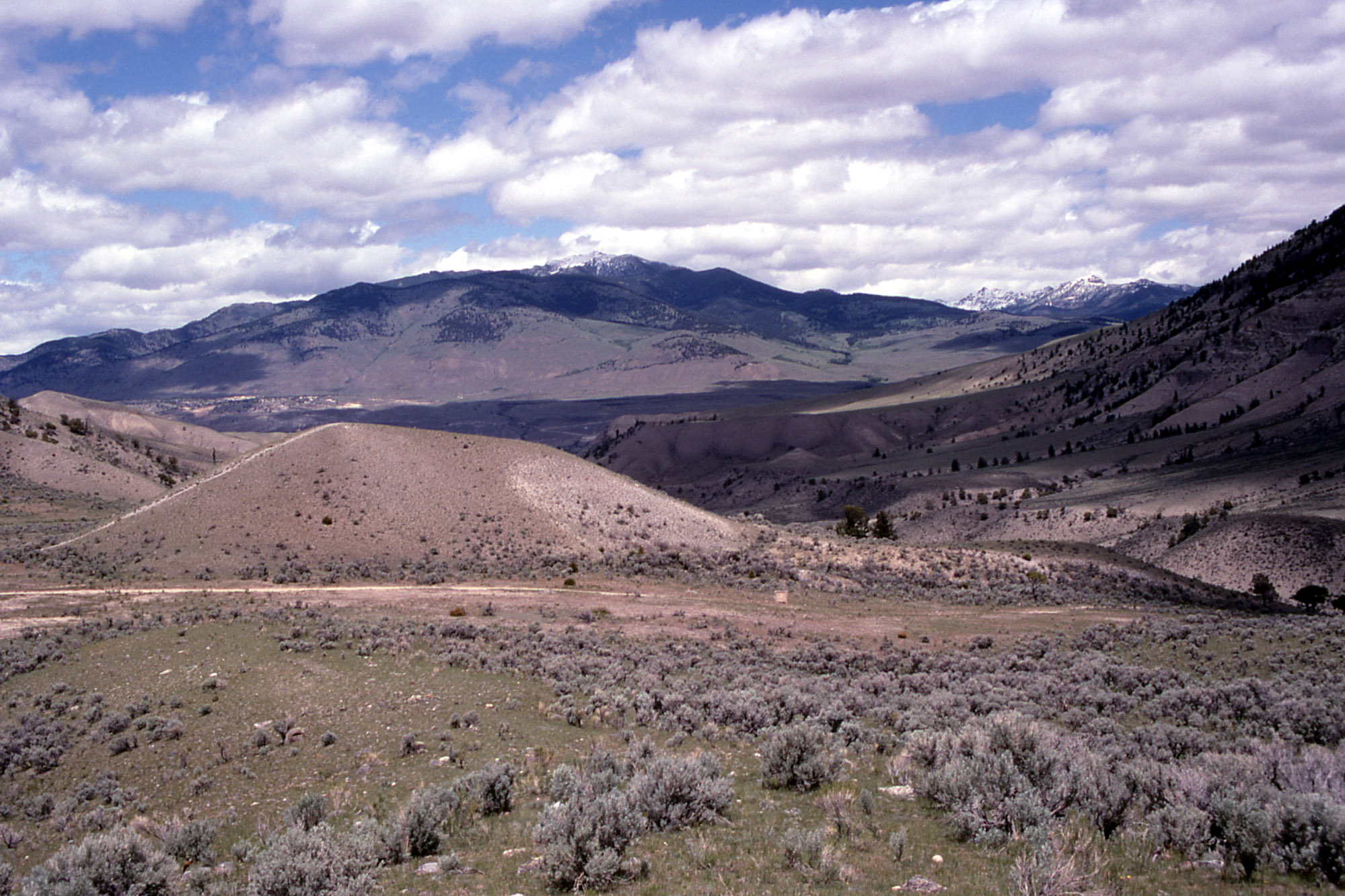 Yellowstone's Photo Collection